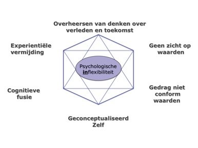 Wat is Coachen met ACT? | Bewezen effect - Sergio van der Pluijm