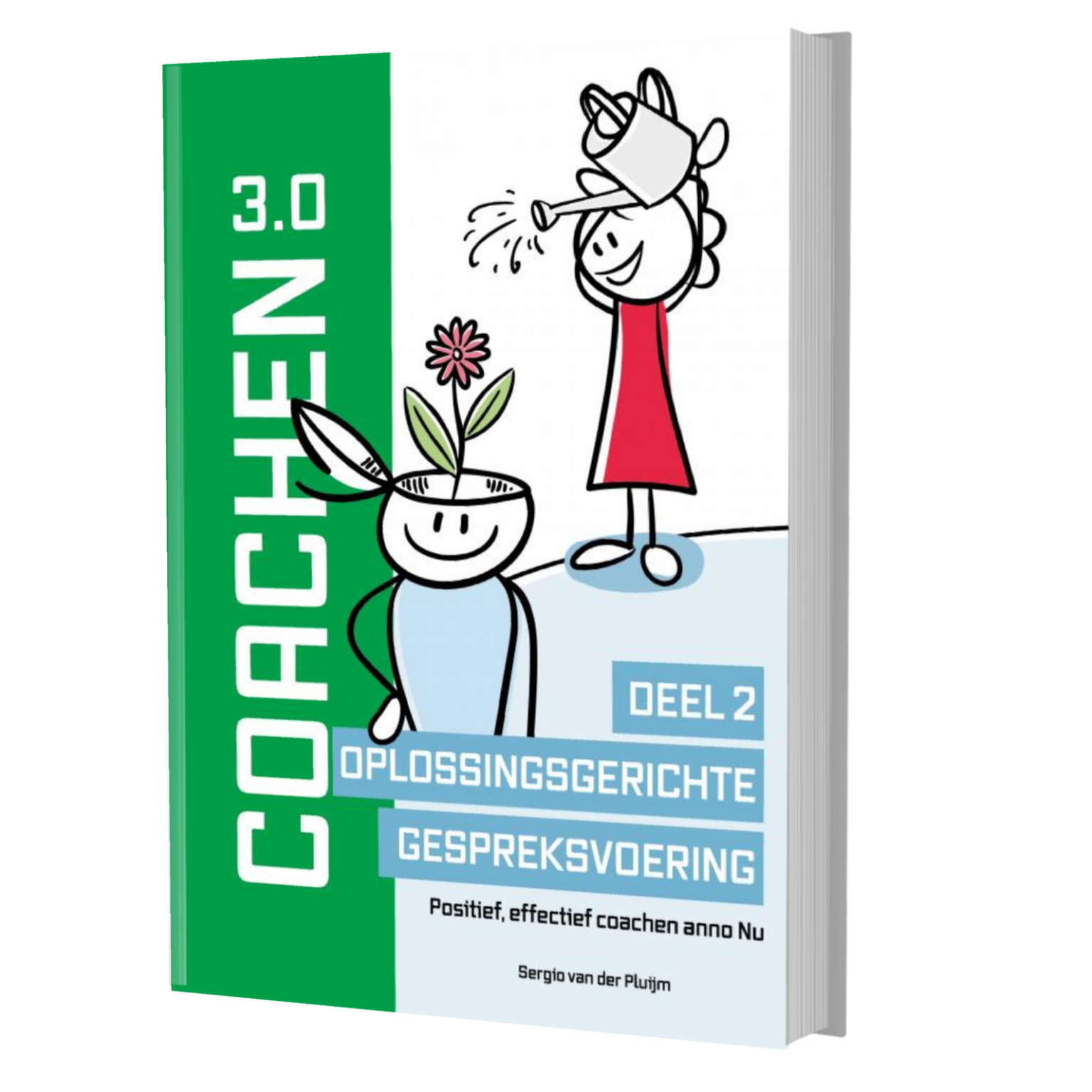 Online Training Oplossingsgericht Coachen - Bewezen effect